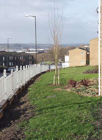 South Benwell Nature Park
